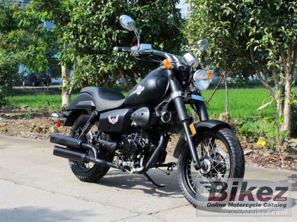 DF Motor DF250RTR gallery