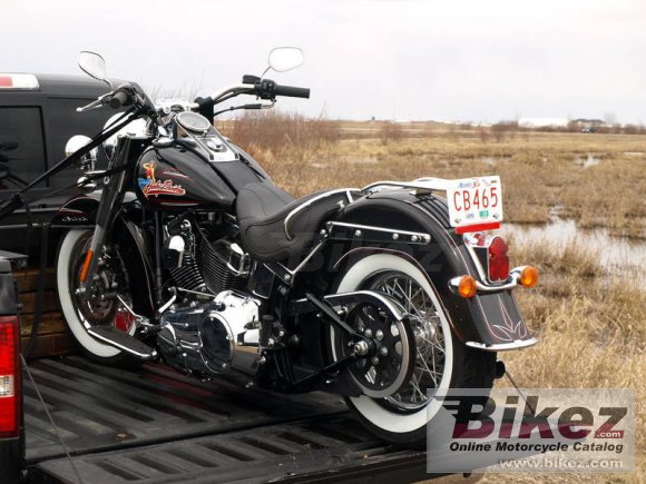 Harley-Davidson FLSTN Softail Deluxe gallery