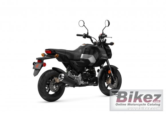 Honda Grom gallery