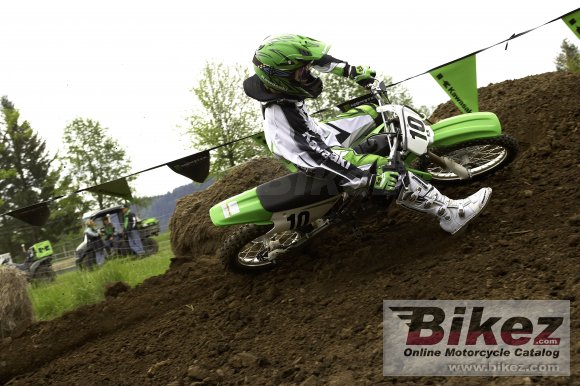 Kawasaki KX100 gallery