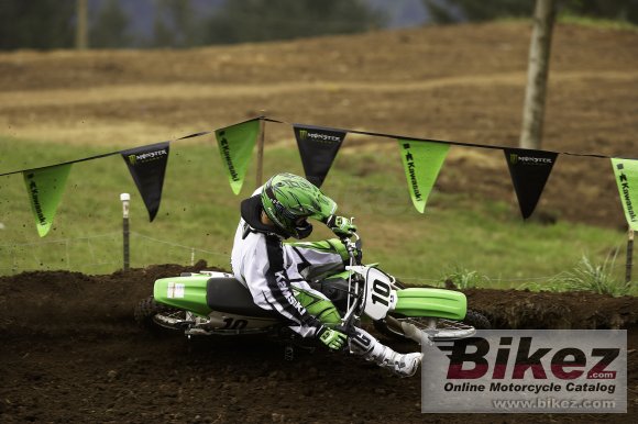 Kawasaki KX100 gallery