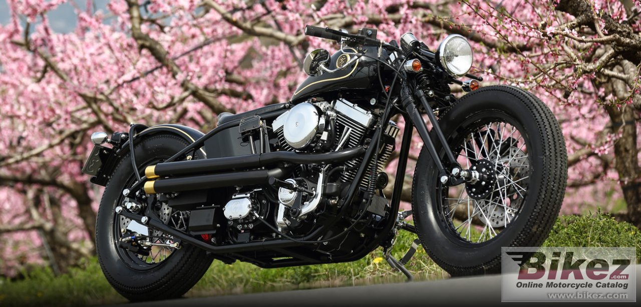 Road Hopper Type9 Evo poster