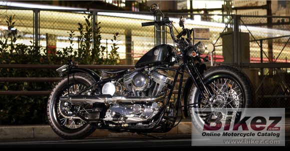 Road Hopper Type2i gallery