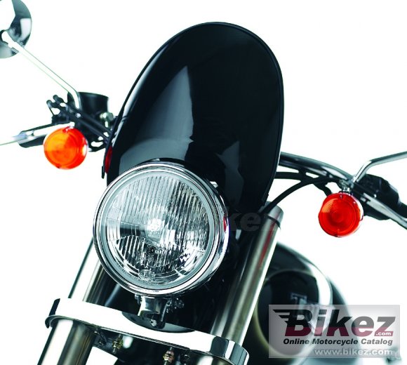 Triumph America gallery