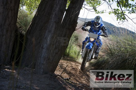 Yamaha WR250F gallery