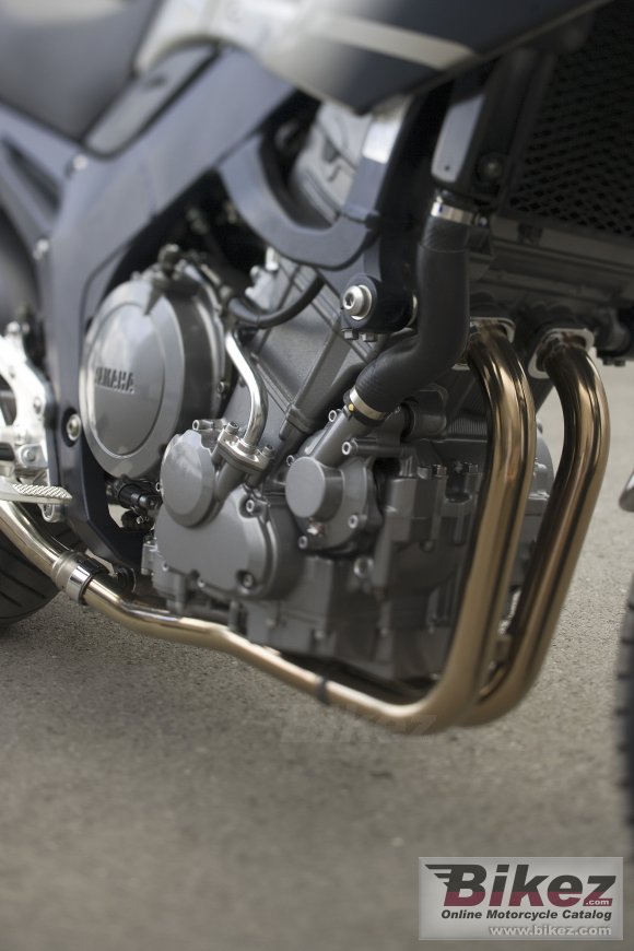 Yamaha TDM 900 gallery