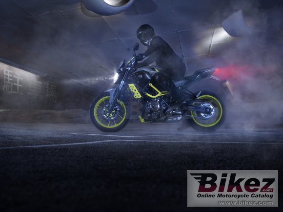 Yamaha MT-07 Moto Cage gallery