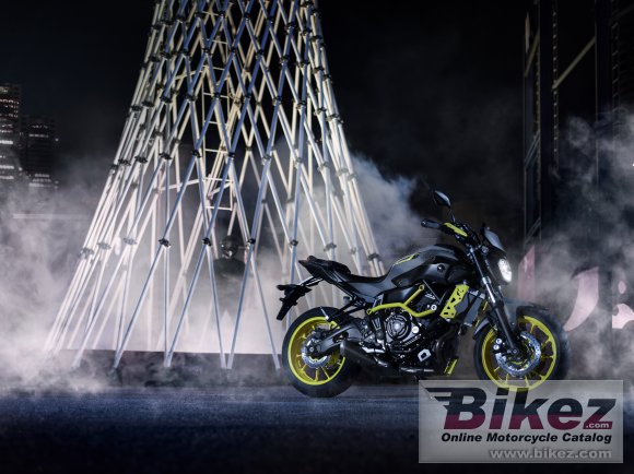 Yamaha MT-07 Moto Cage gallery