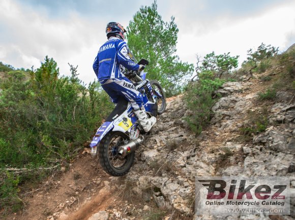 Yamaha WR450F Rally gallery